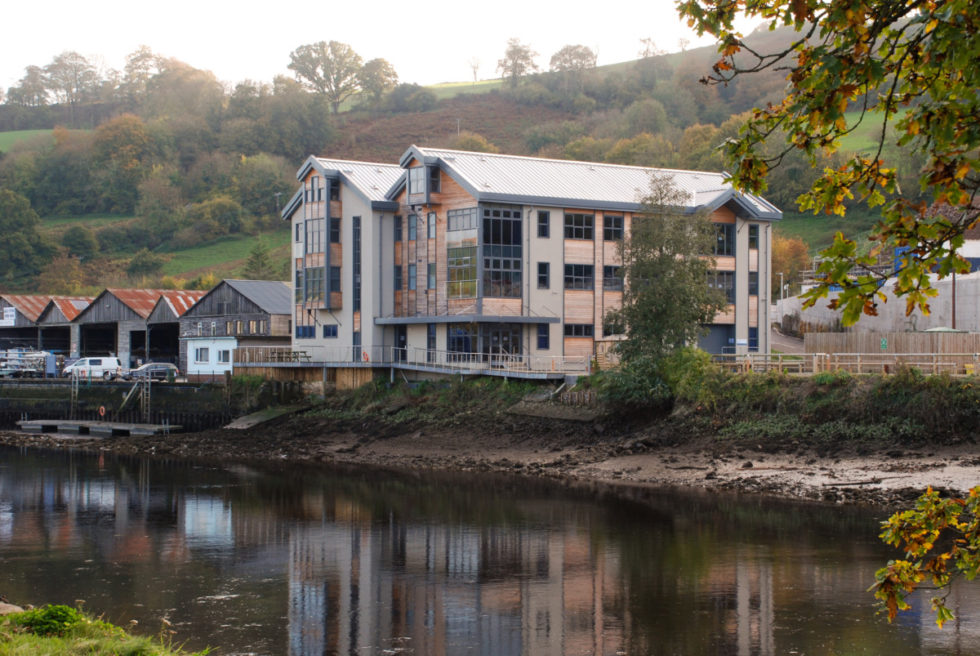 Our Work | Taylor Lewis