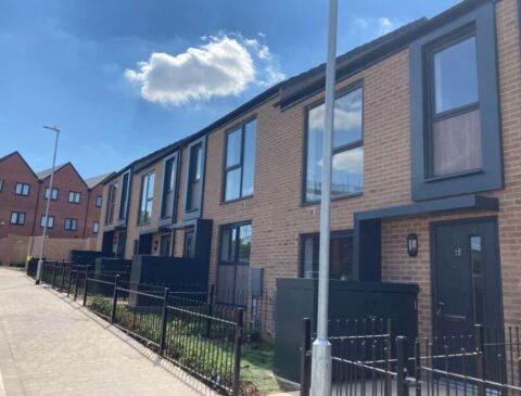 Jessop Park - Taylor Lewis